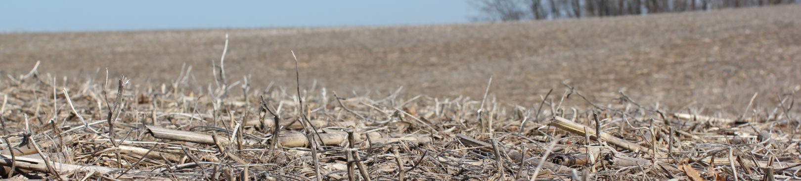 Grid Sampling Vs. Composite Soil Sampling Methods