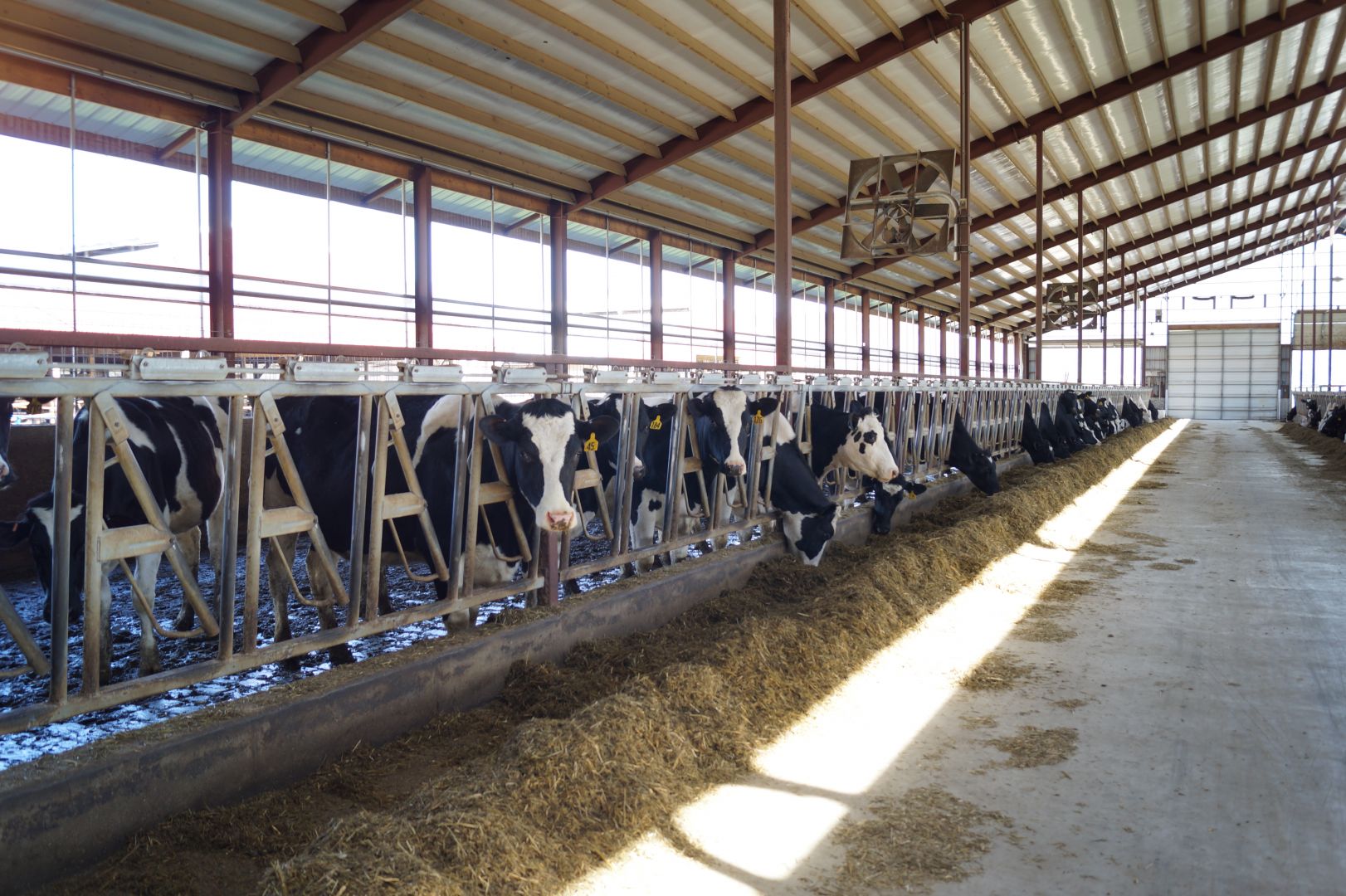 Are Your Forages the Best They Can Be? - Midwestern BioAg