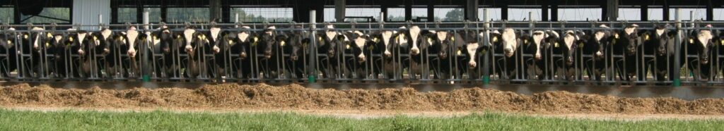 "O" Special 2114 - Midwestern BioAg