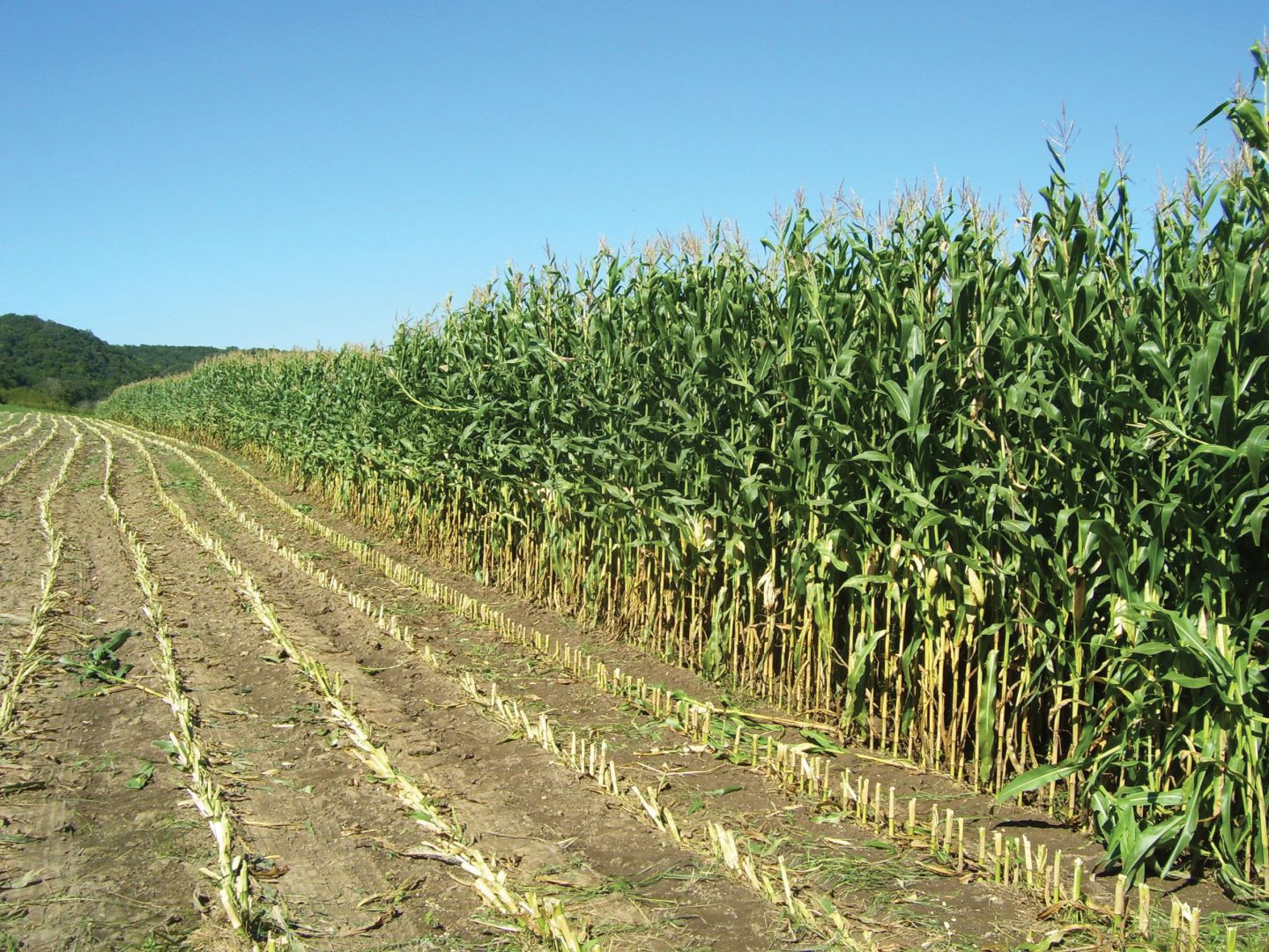 K-Mag® - Midwestern BioAg