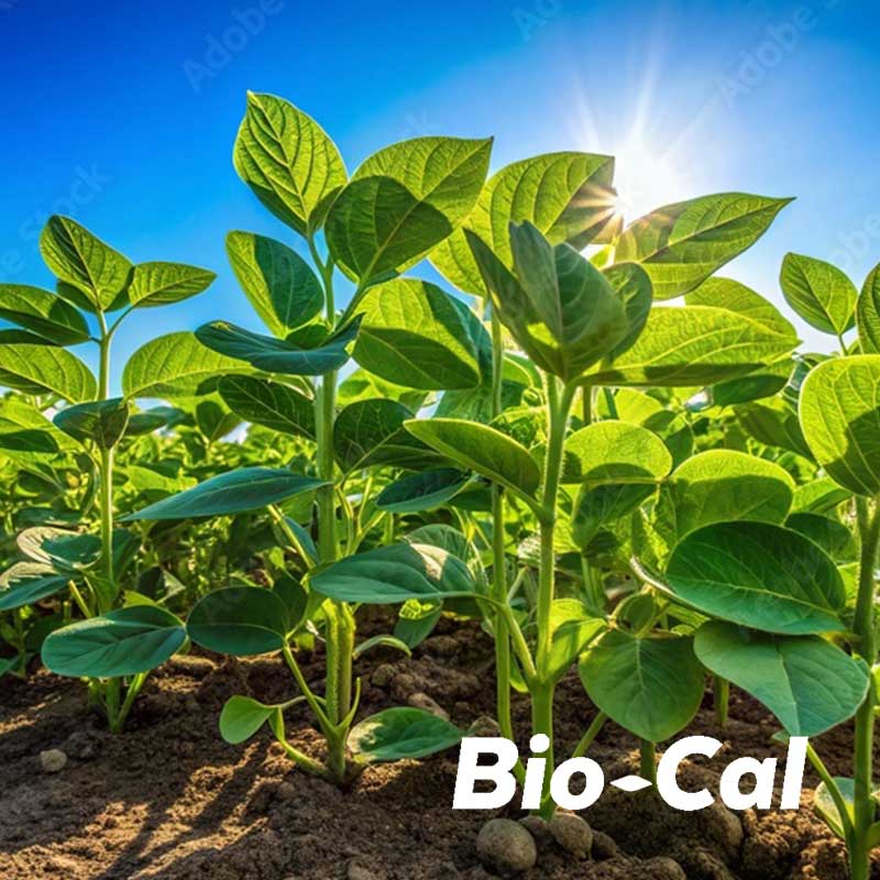 Fertilizer Pioneers - Midwestern BioAg