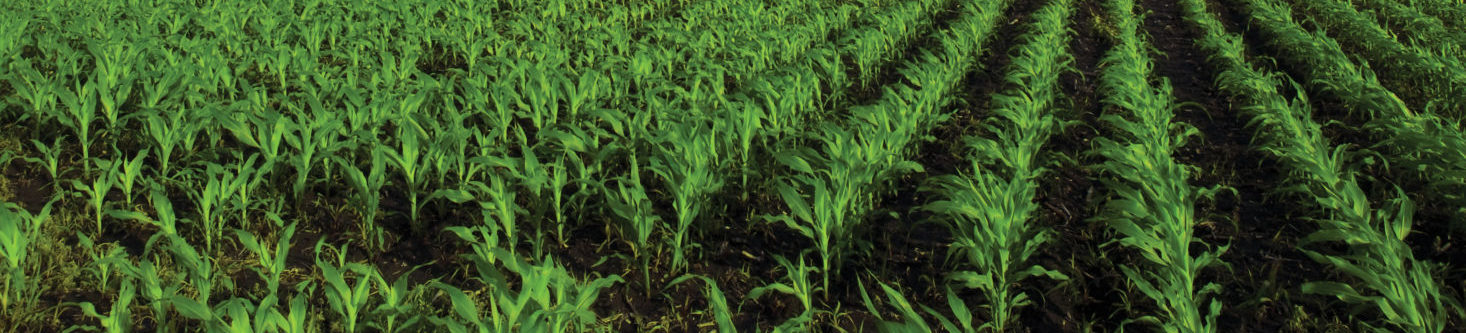 Envita™ - Midwestern BioAg