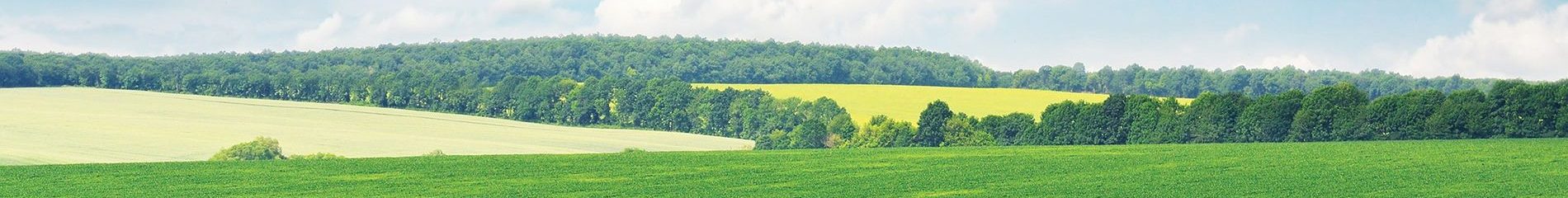 Intrepid Trio® - Midwestern BioAg