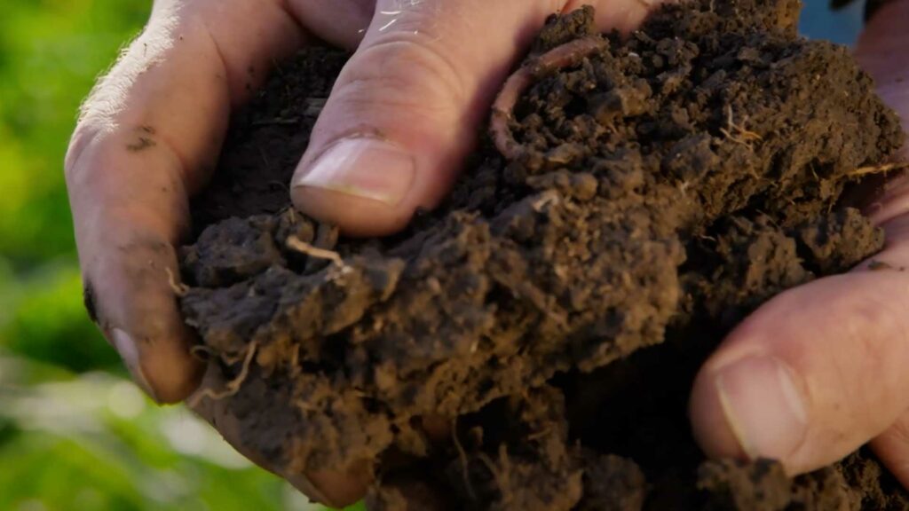 Midwestern BioAg - Better Farming Through Better Soil