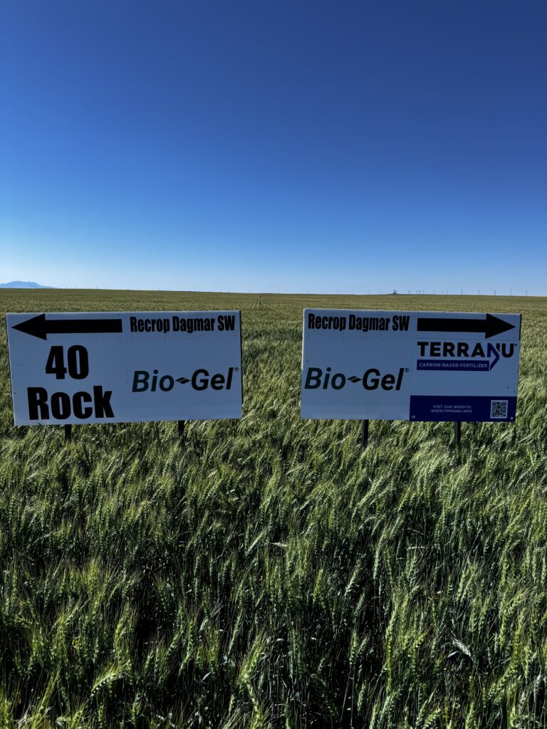Winter Wheat Boosted by Bio-Gel® - Midwestern BioAg
