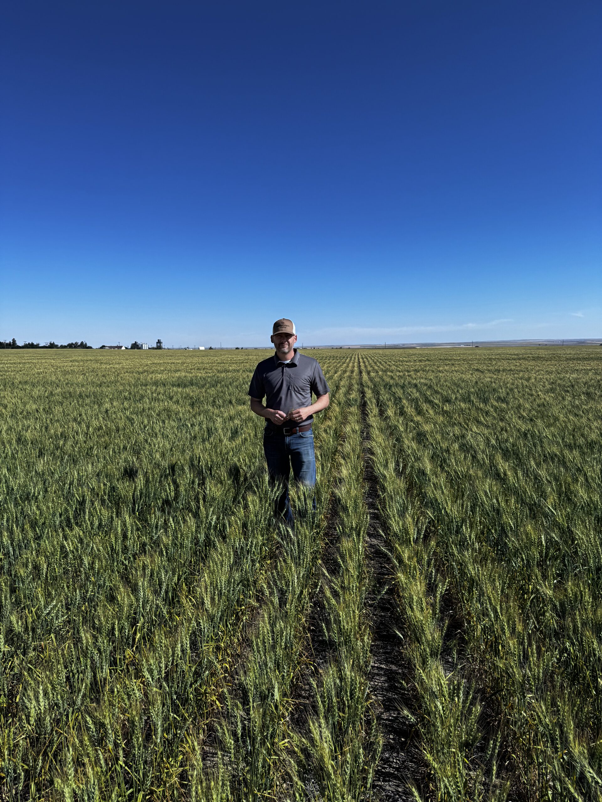 Winter Wheat Boosted by Bio-Gel® - Midwestern BioAg